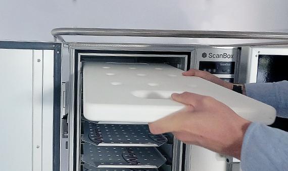 Ergo Line Single | Scanbox